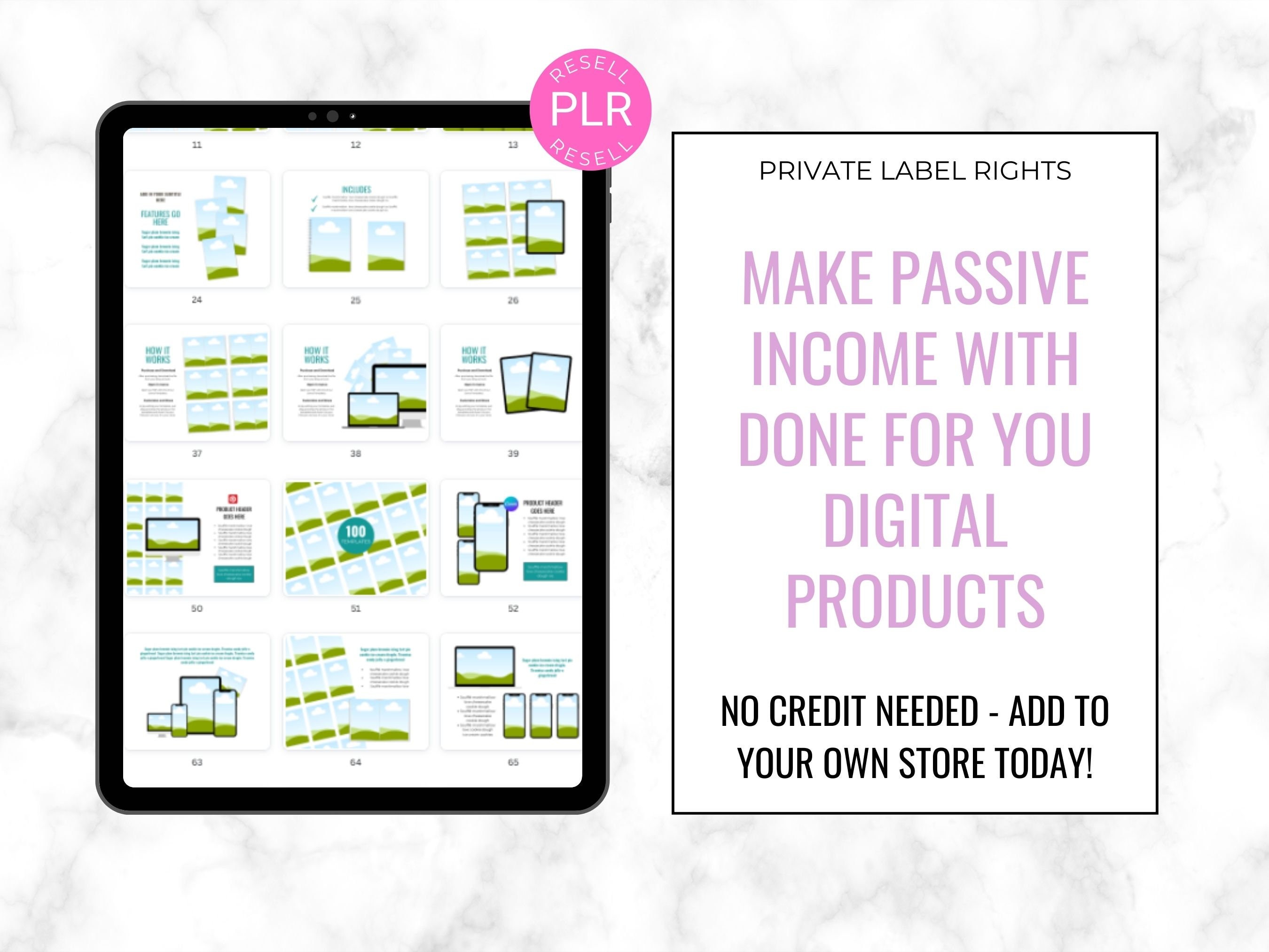 Etsy Listing Template PLR, Etsy Mockup, Etsy Shop Kit, PLR Templates ...