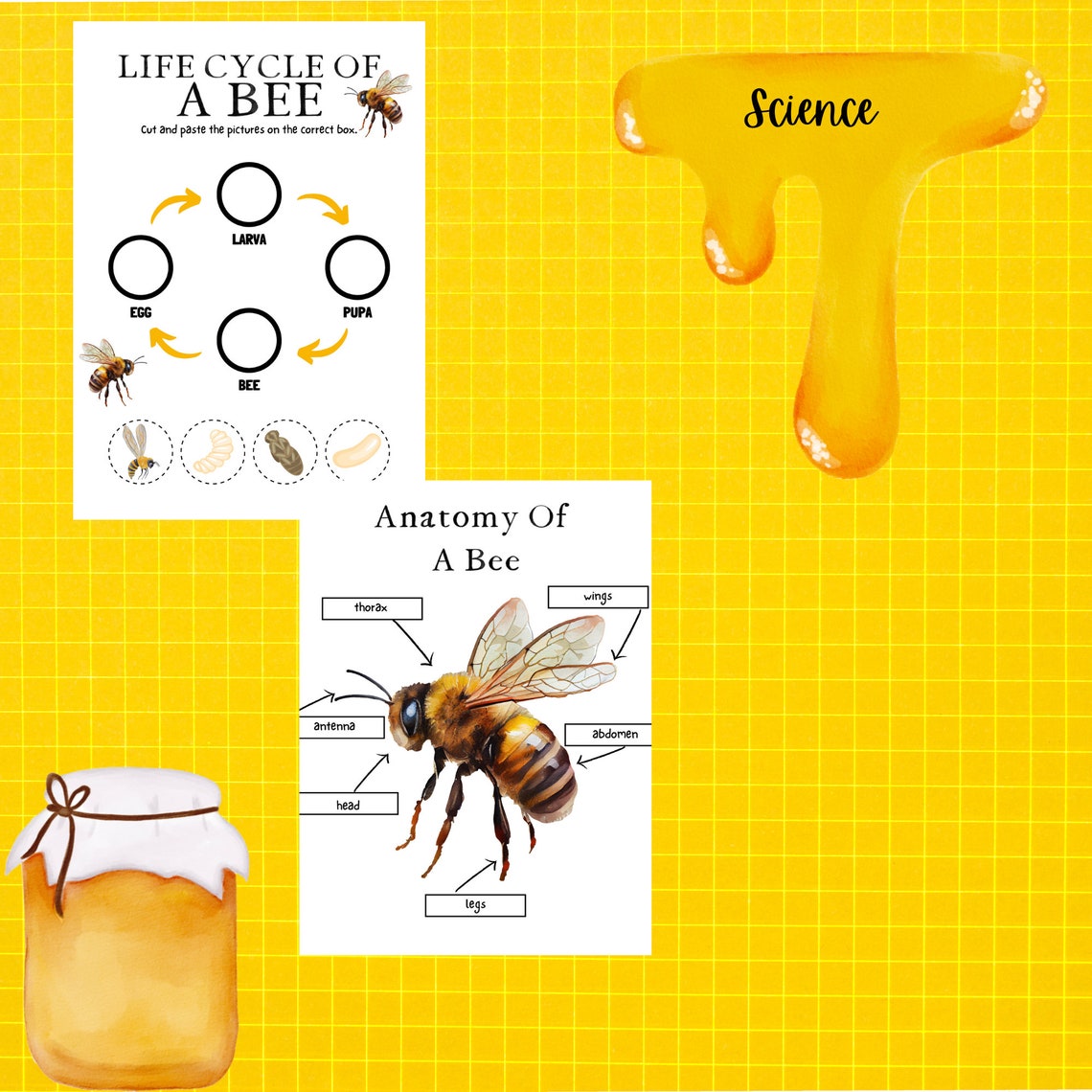 Busy Bee Themed Activity Bundle, 50 Pages, Homeschool Printable ...