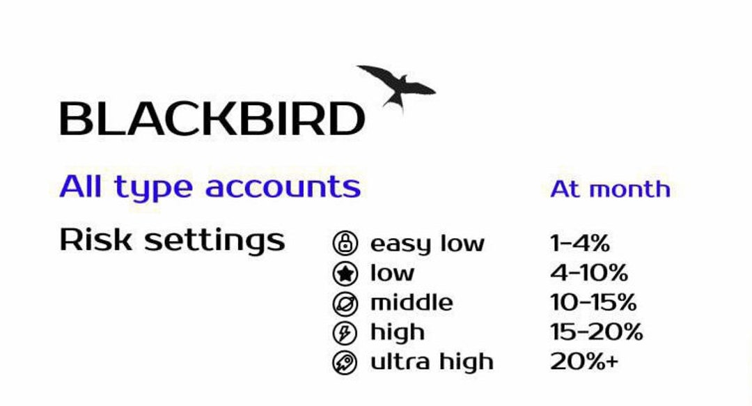BLACKBIRD V1.2 EA Prop-firms MT4 - Etsy