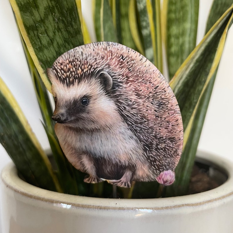 Cute British Hedgehog Decorative Plant Pot Ornament - Plant Buddie ...