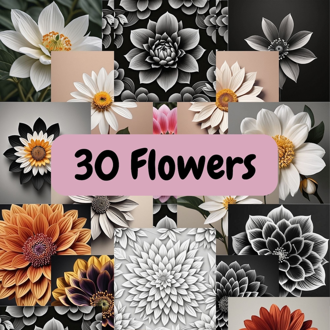 Flower PFP | Flower Images | Flower Pictures | 1024x1024 | Lovely ...