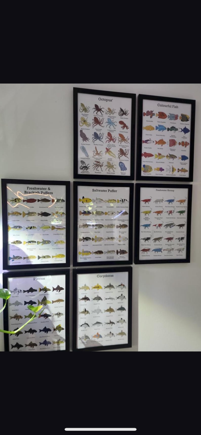 Fish ID Wall Art - Creatures of the Deep (buy One Get 2 Free!) Fishtank ...