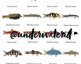 Fish ID Posters South American Cichlids buy One Get 2 Free Fishtank ...