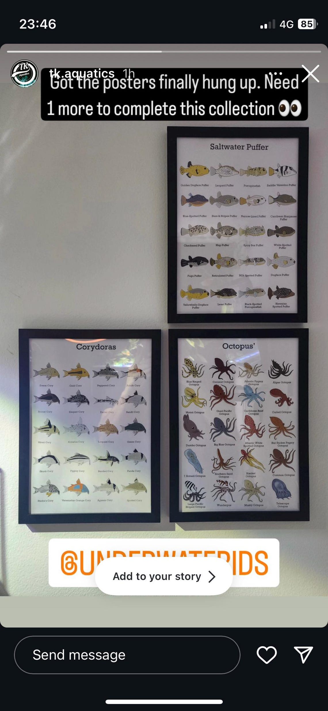 Fish ID Posters South American Cichlids buy One Get 2 Free Fishtank ...