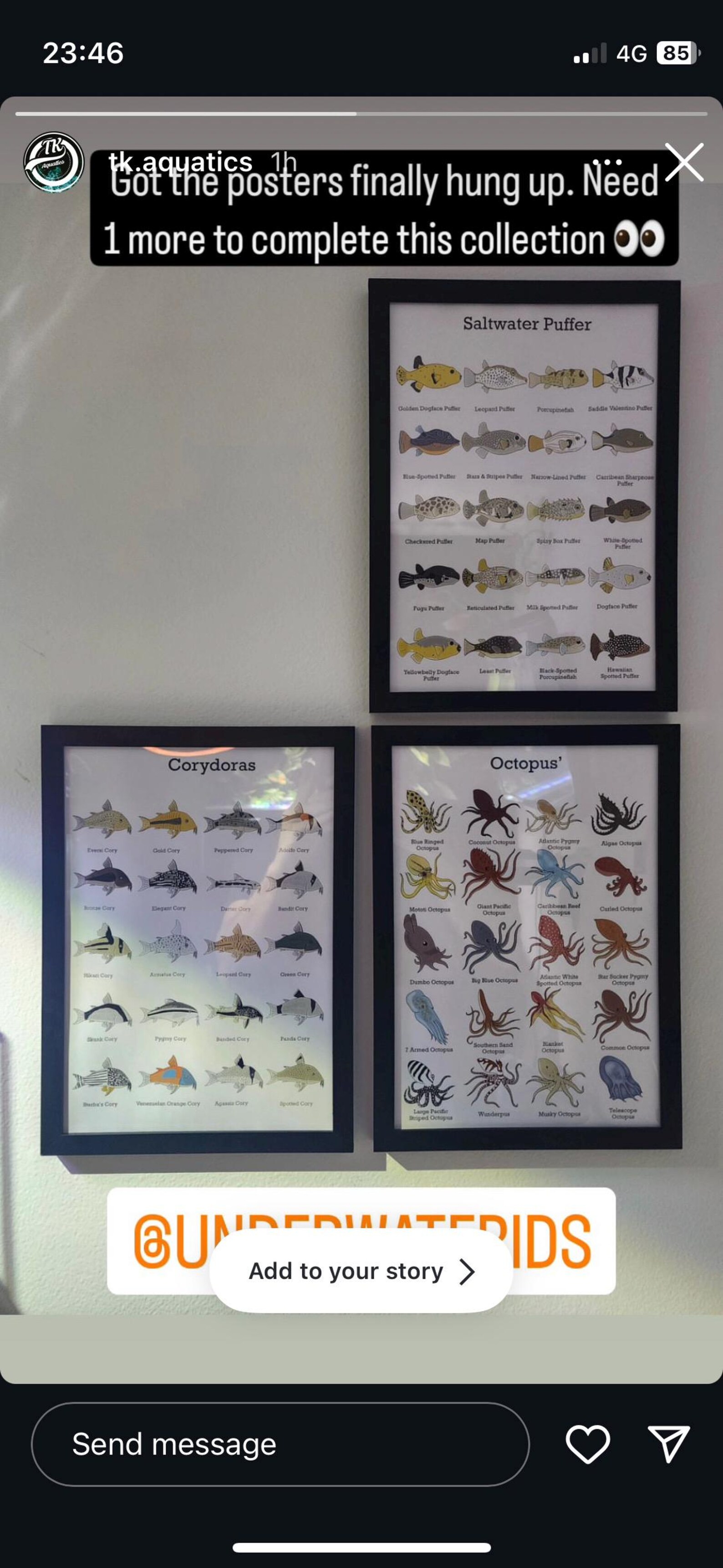 Creatures of the Deep Art Print: Fish ID, Fishtank Decoration (A4) (buy ...