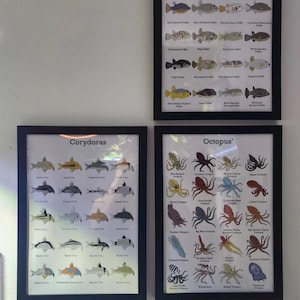 Fish ID Wall Art - Creatures of the Deep (buy One Get 2 Free!) Fishtank ...
