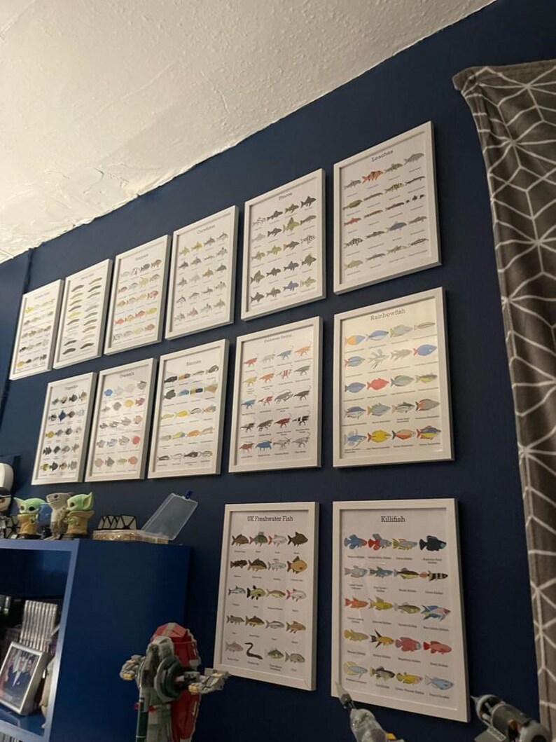 Fish ID Wall Art - Creatures of the Deep (buy One Get 2 Free!) Fishtank ...