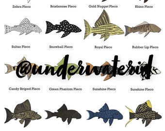 Fish ID Posters South American Cichlids buy One Get 2 Free Fishtank ...