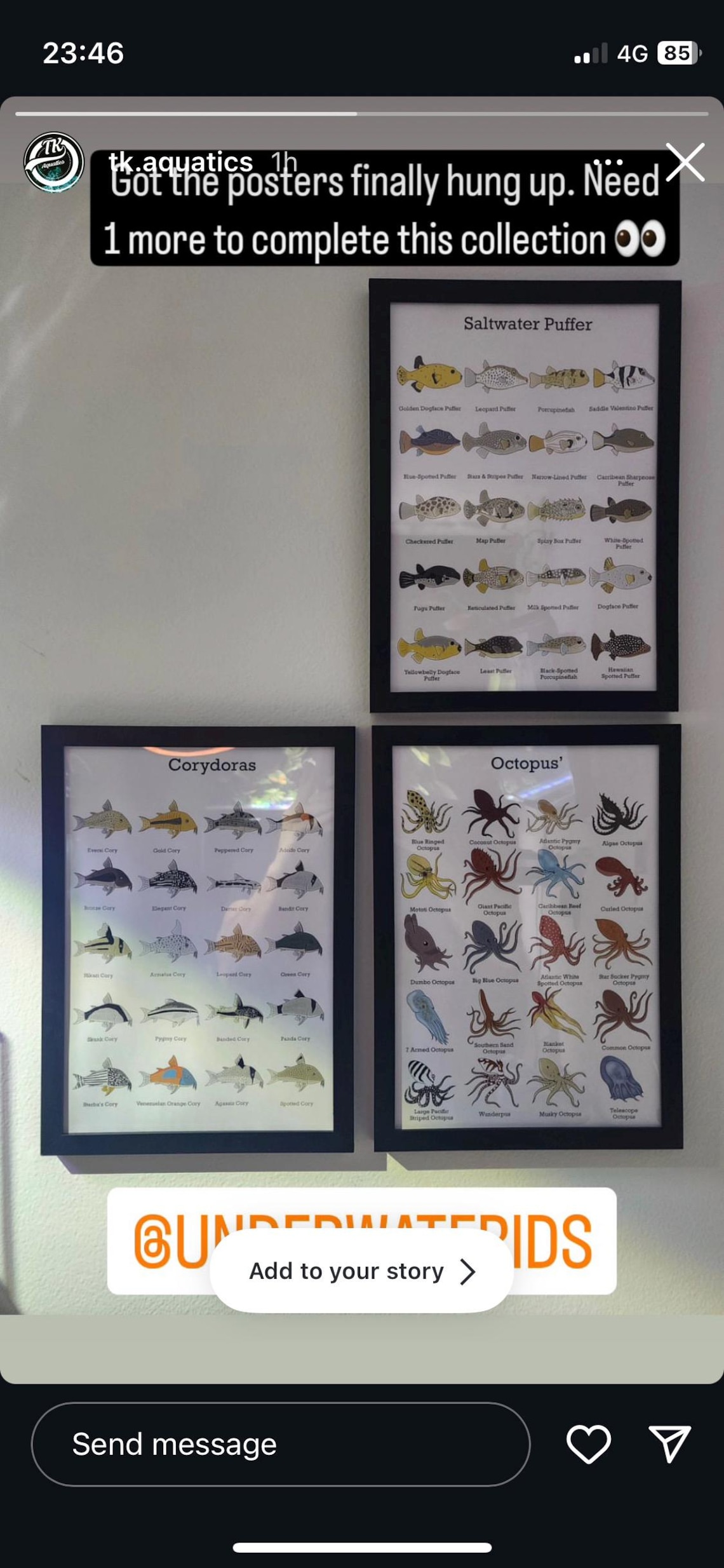 Fish ID Posters Freshwater Angelfish buy One Get One Free Fishtank ...