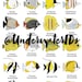 Fish ID Posters Butterflyfish buy One Get One Free Fishtank Decoration ...