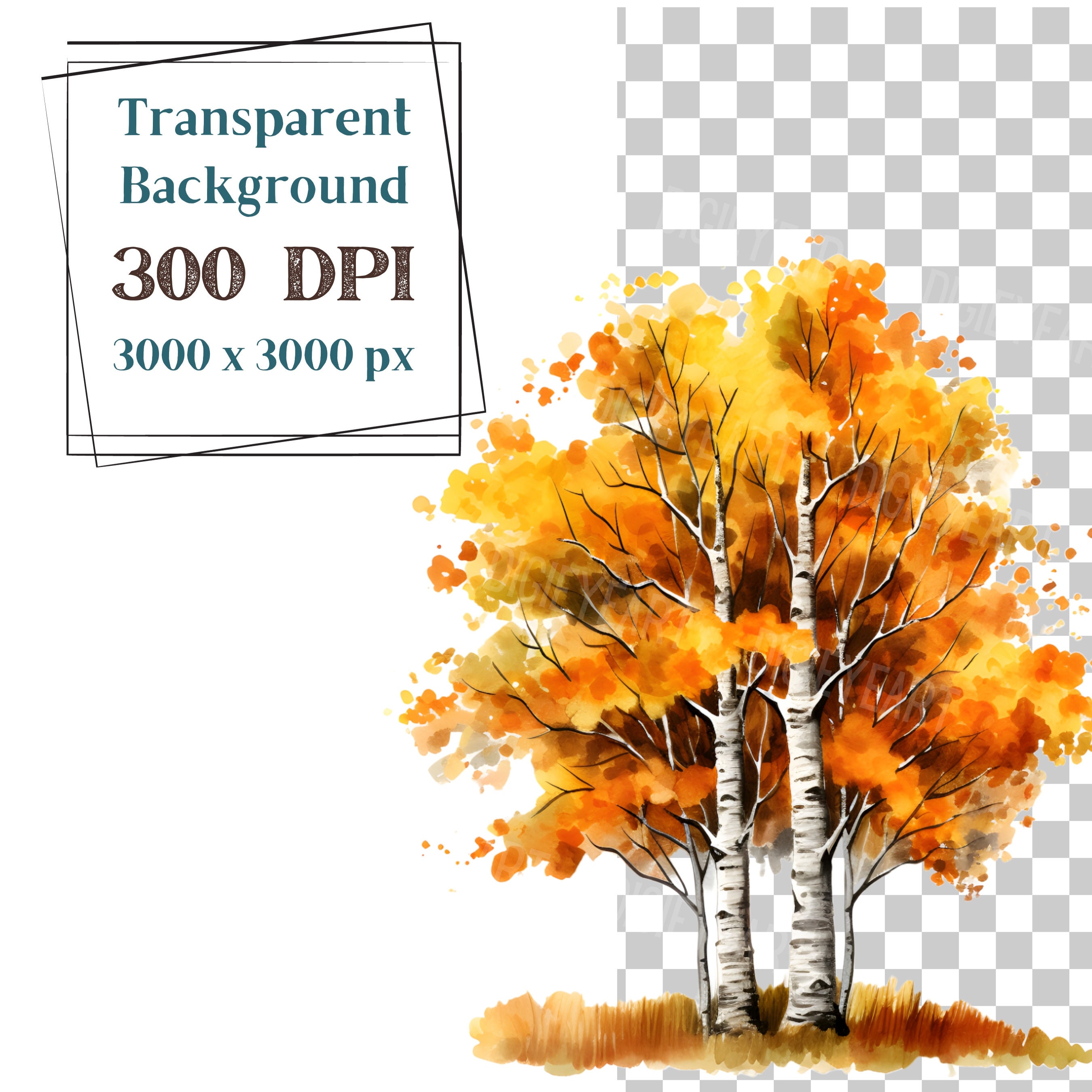Autumn Trees Clipart Fall Tree Clip Art Png Forest Image - Etsy