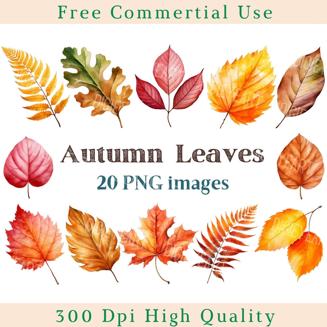Atumn Leaves Clipart Leaf Clip Art Png Fall Leaf Image - Etsy