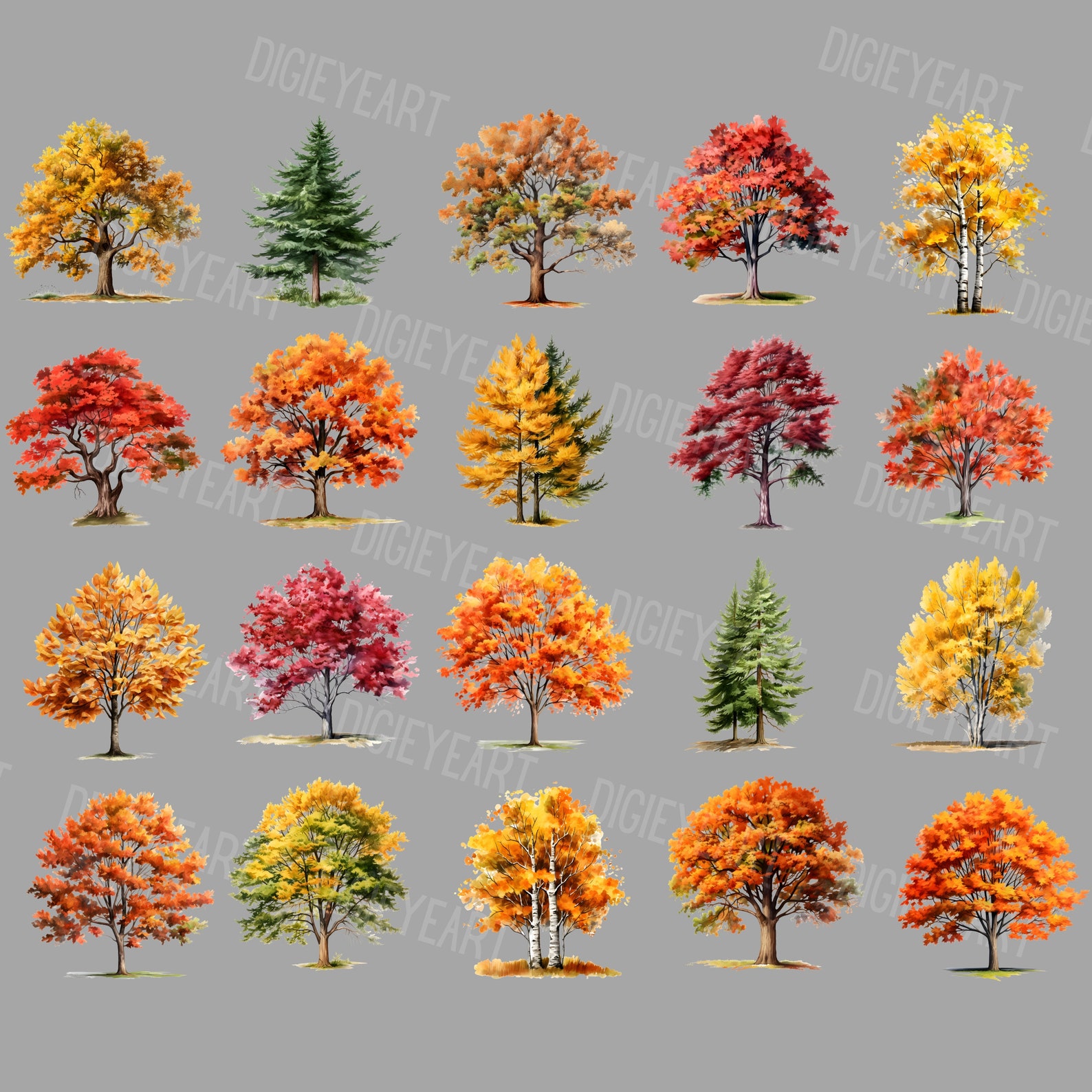 Autumn Trees Clipart Fall Tree Clip Art Png Forest Image - Etsy
