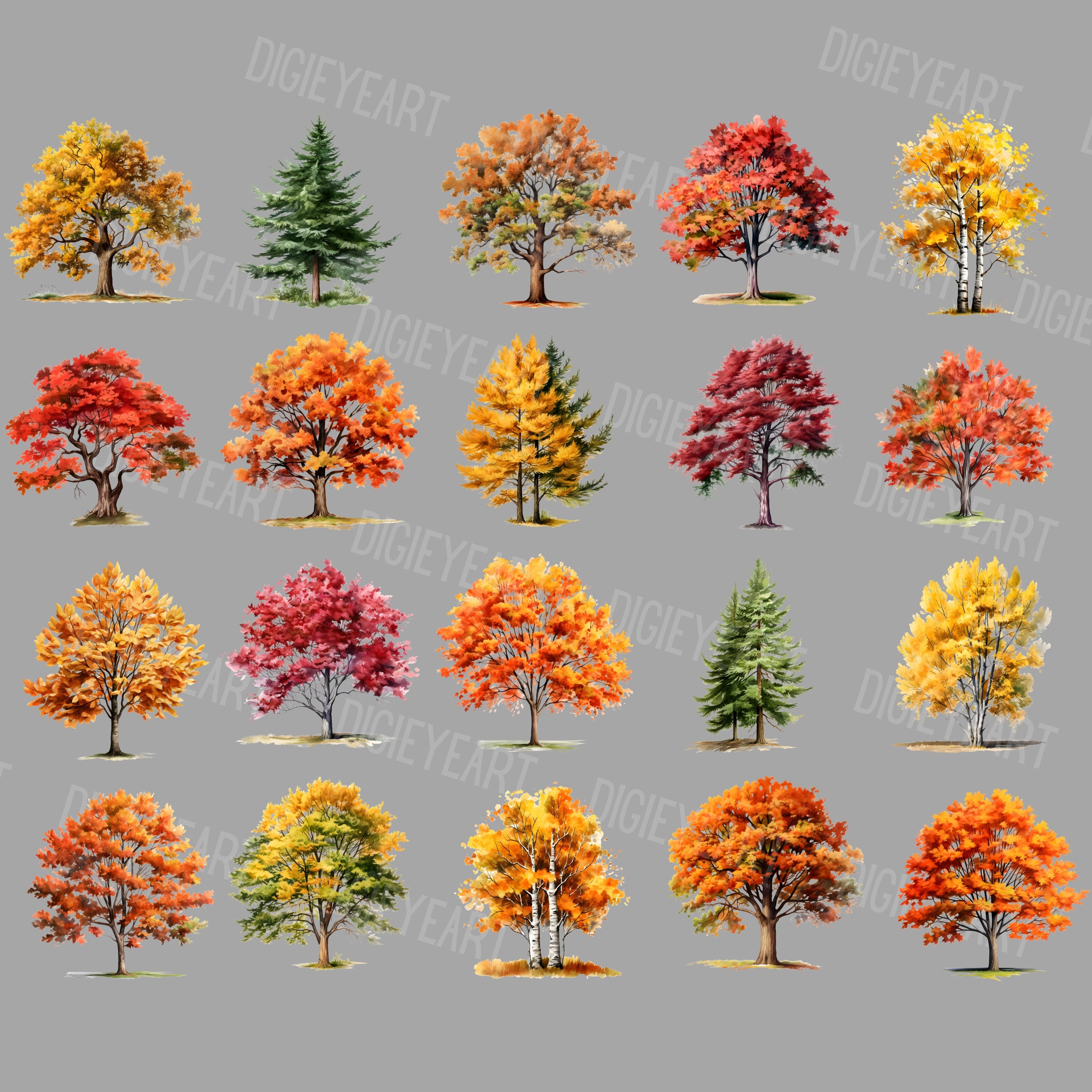 Autumn Trees Clipart Fall Tree Clip Art Png Forest Image - Etsy