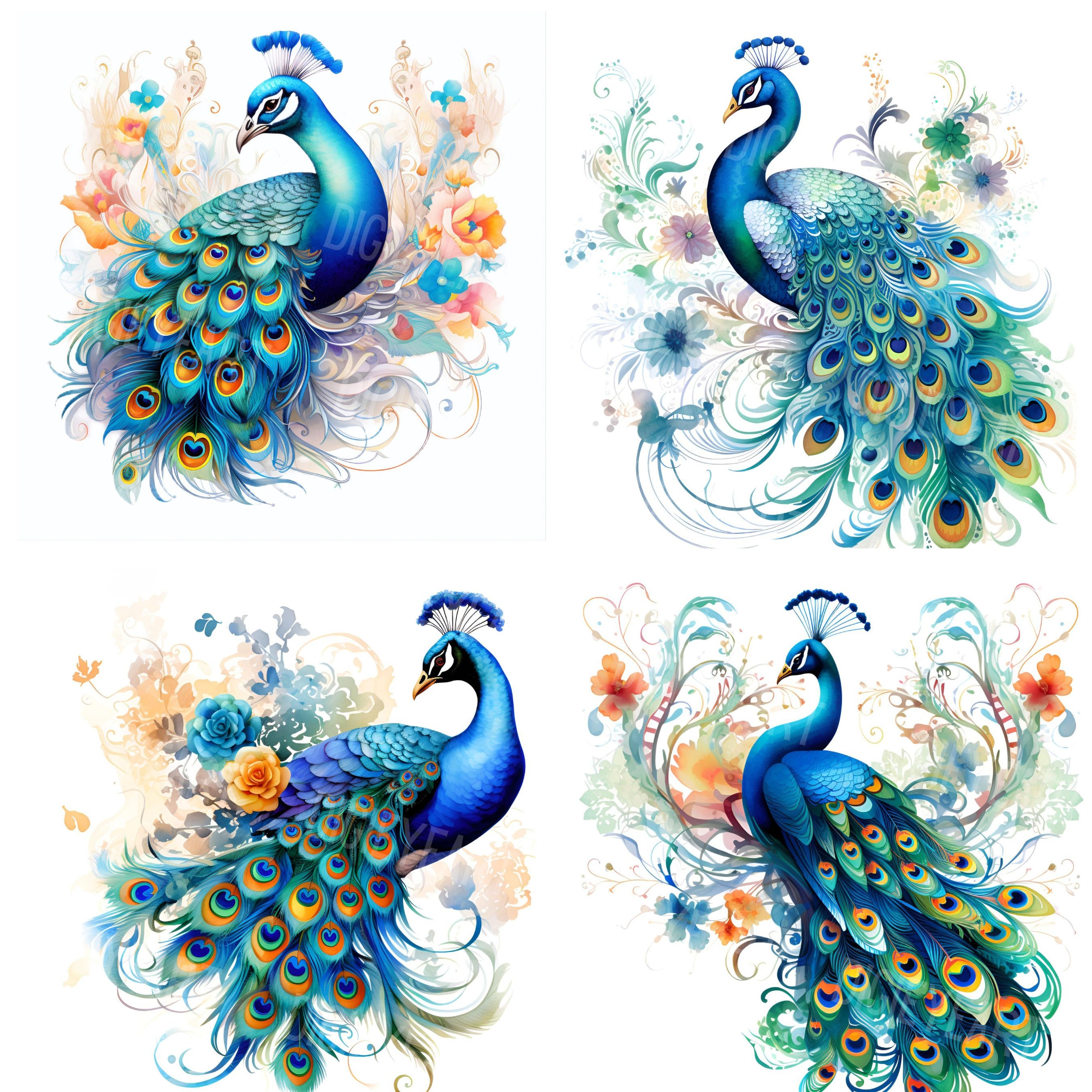 Watercolor Peacock Clipart Peacocks Clip Art Peafowl Bird - Etsy