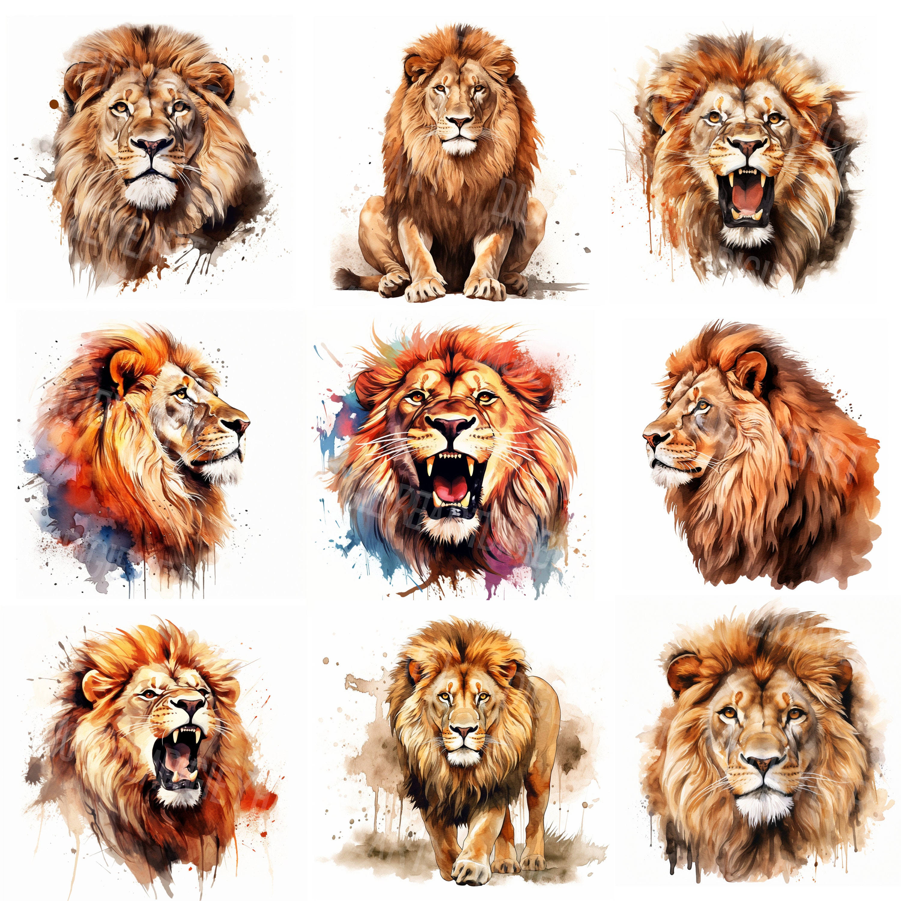 Watercolor Lions Clipart Lion Clip Art Big Cat Jpg Animal - Etsy