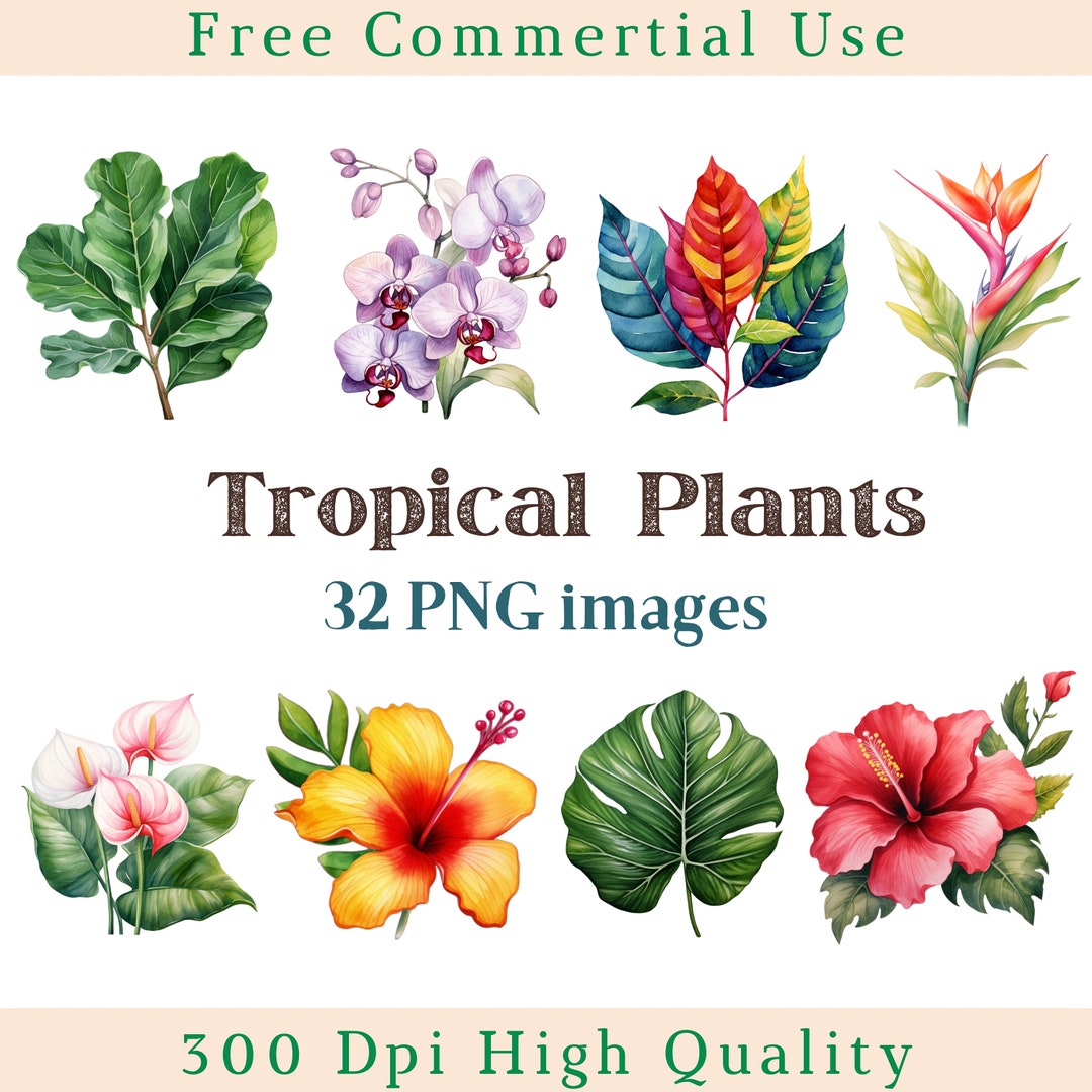 Watercolor Tropical Plants Clipart, Flowers Clip Art Png, Digital Plant ...