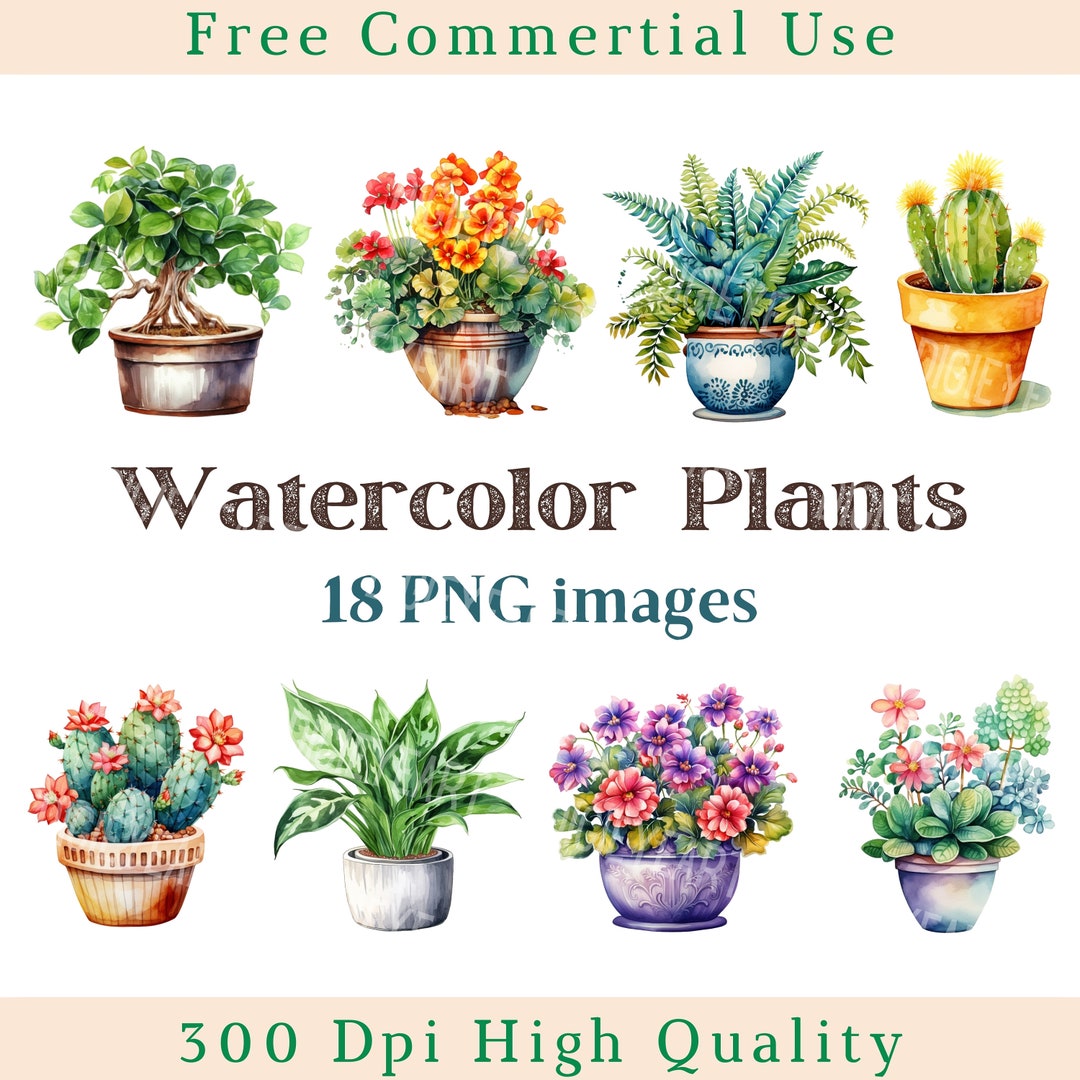 Watercolor Pot Plants Clipart, Cactus Clip Art Png, Digital Plant ...