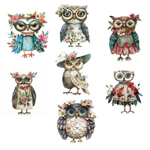 Whimsical Owl Clipart, Quirky Birds Clip Art, Owl Graphics PNG, Bird ...
