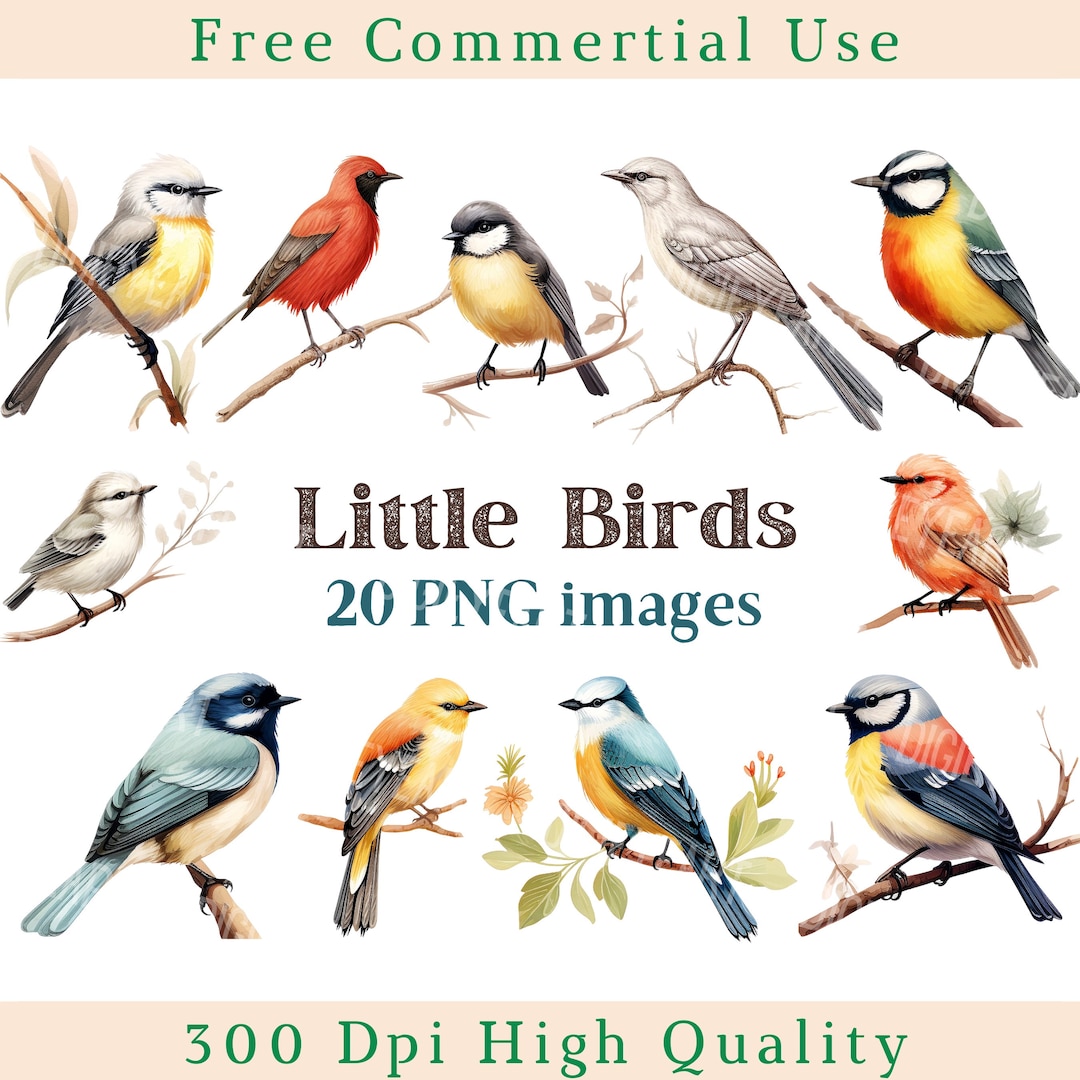 Little Birds Clipart, Bird Clip Art Png, Great Tit Image, Commertial ...