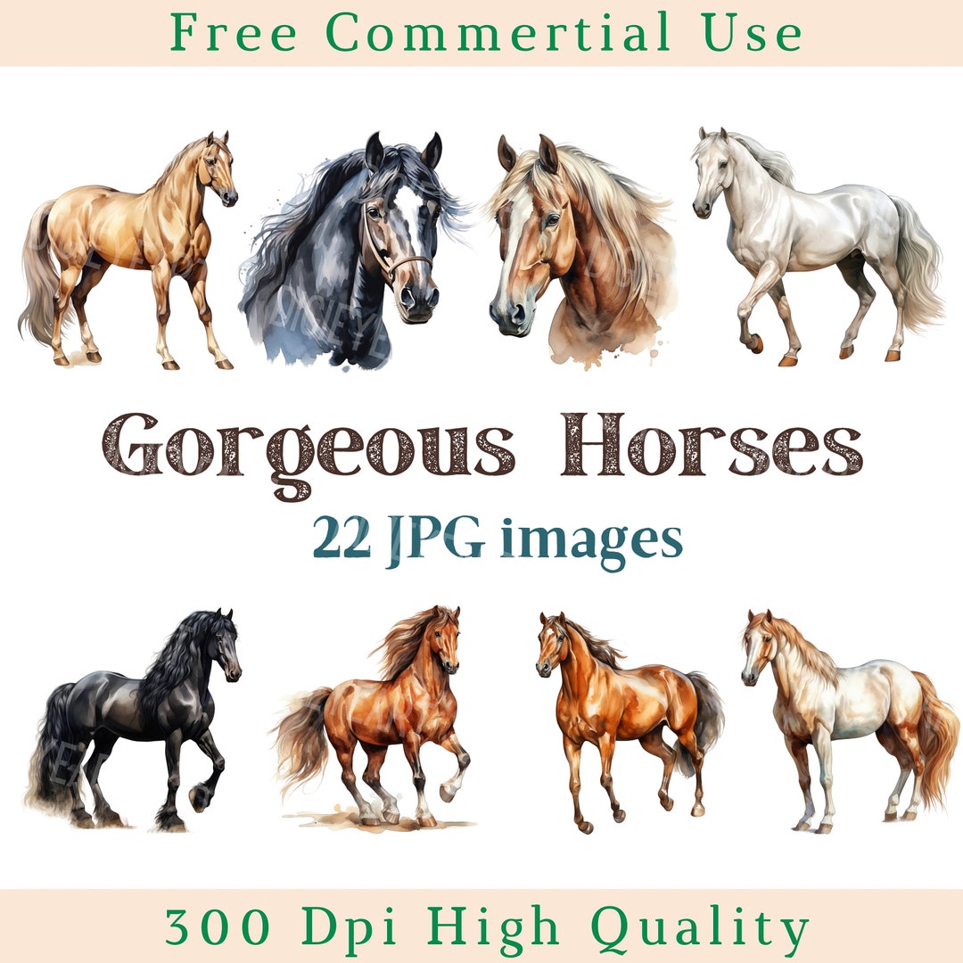 Watercolor Horse Clipart, Horses Clip Art, Horse Jpg, Farm Animal ...