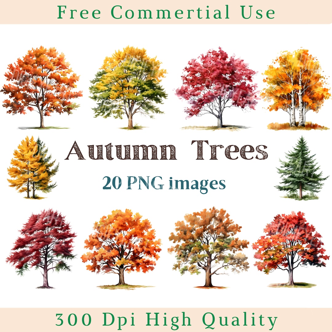 Autumn Trees Clipart, Fall Tree Clip Art Png, Forest Image, Commercial ...