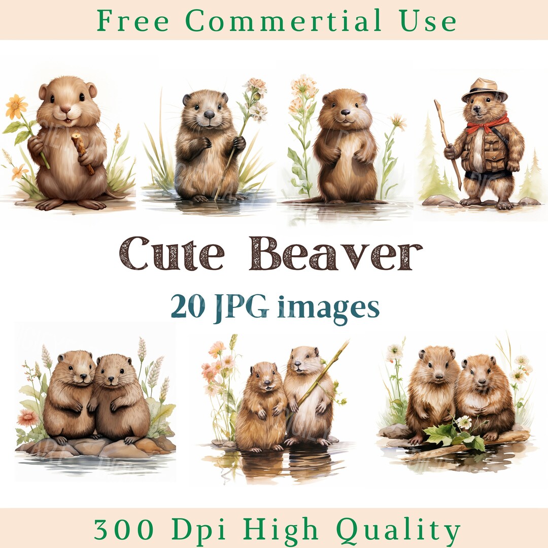 Watercolor Beaver Clipart, Cute Beaver Clip Art, Animal Jpg, Beavers ...