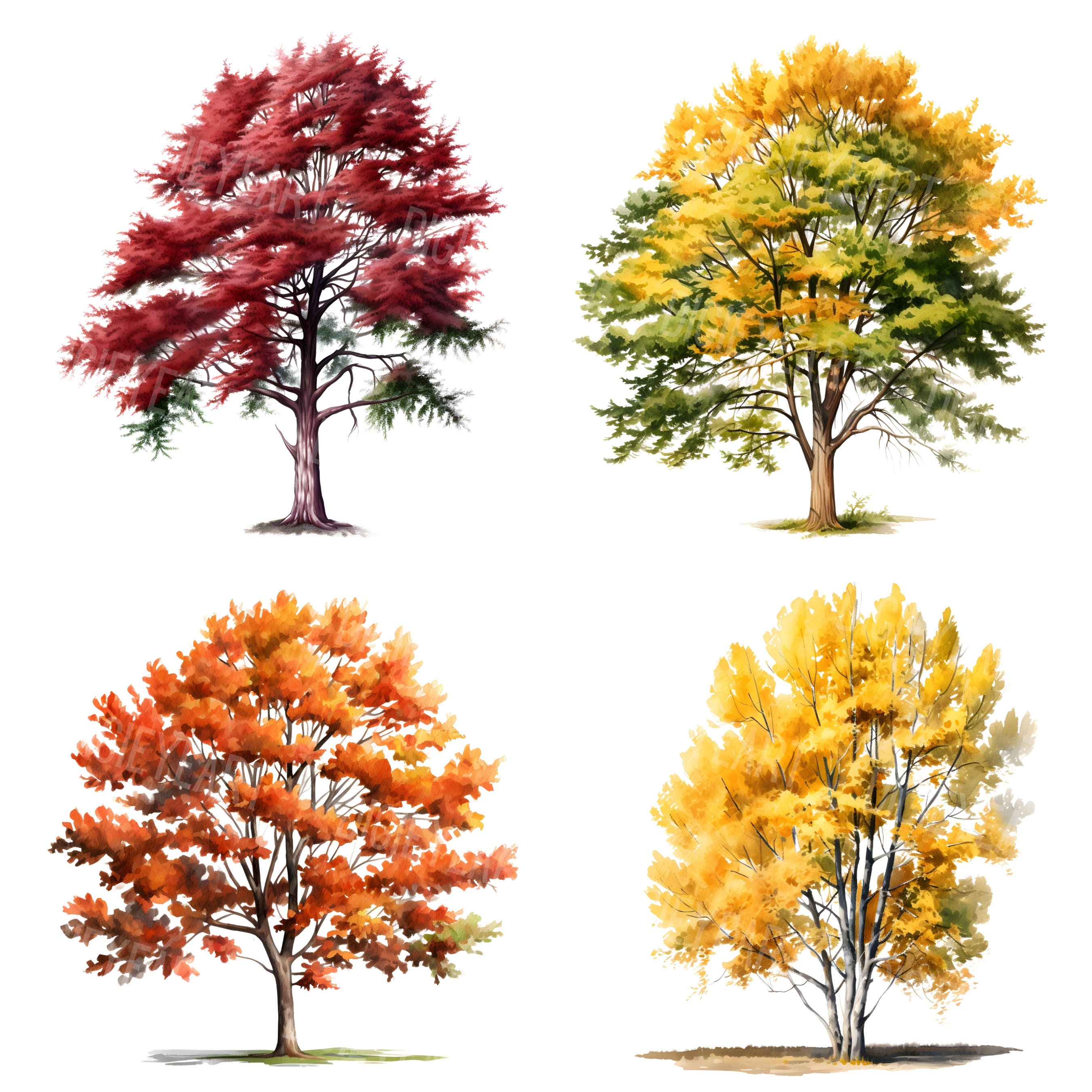 Autumn Trees Clipart Fall Tree Clip Art Png Forest Image - Etsy