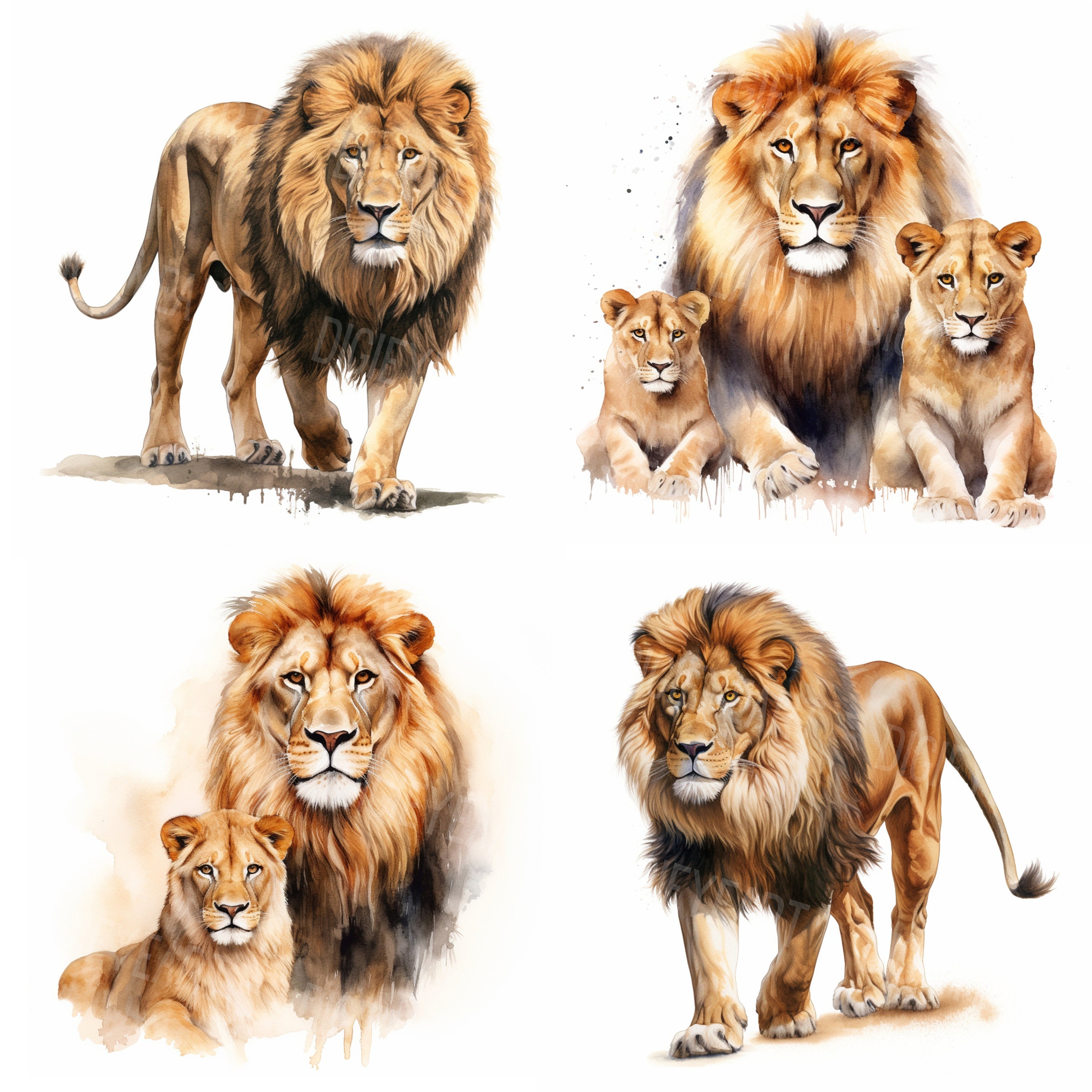 Watercolor Lions Clipart Lion Clip Art Big Cat Jpg Animal - Etsy