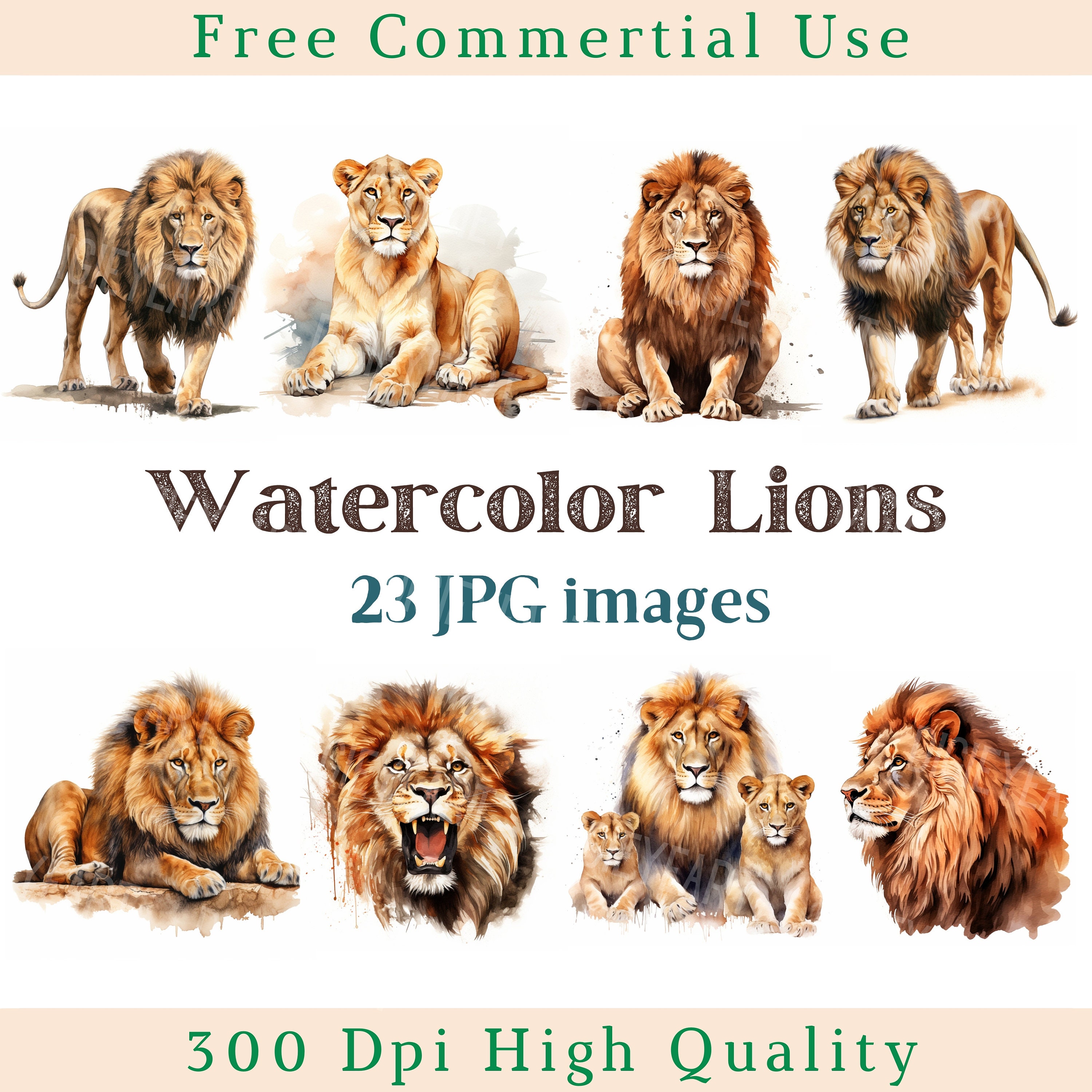 Watercolor Lions Clipart Lion Clip Art Big Cat Jpg Animal - Etsy