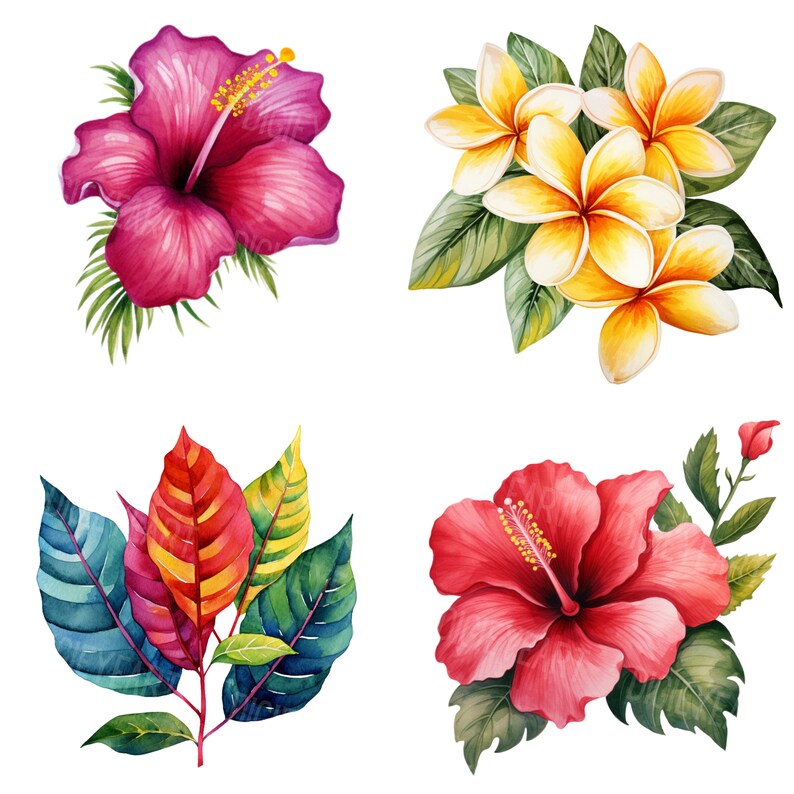 Watercolor Tropical Plants Clipart, Flowers Clip Art Png, Digital Plant ...