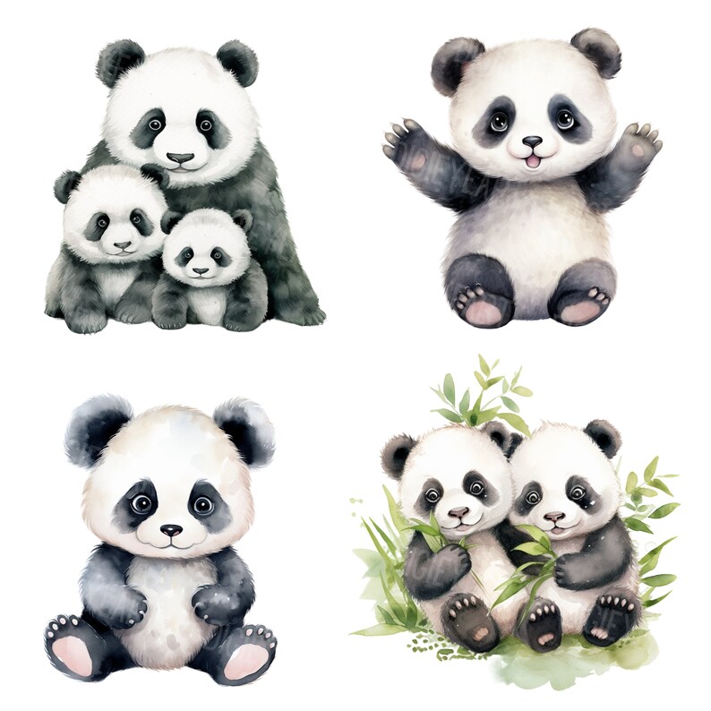Watercolor Cute Panda Clipart Funny Panda Clip Art Animals - Etsy