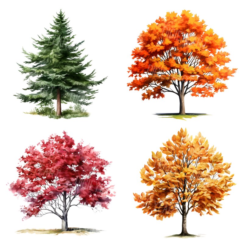 Autumn Trees Clipart, Fall Tree Clip Art Png, Forest Image, Commercial ...