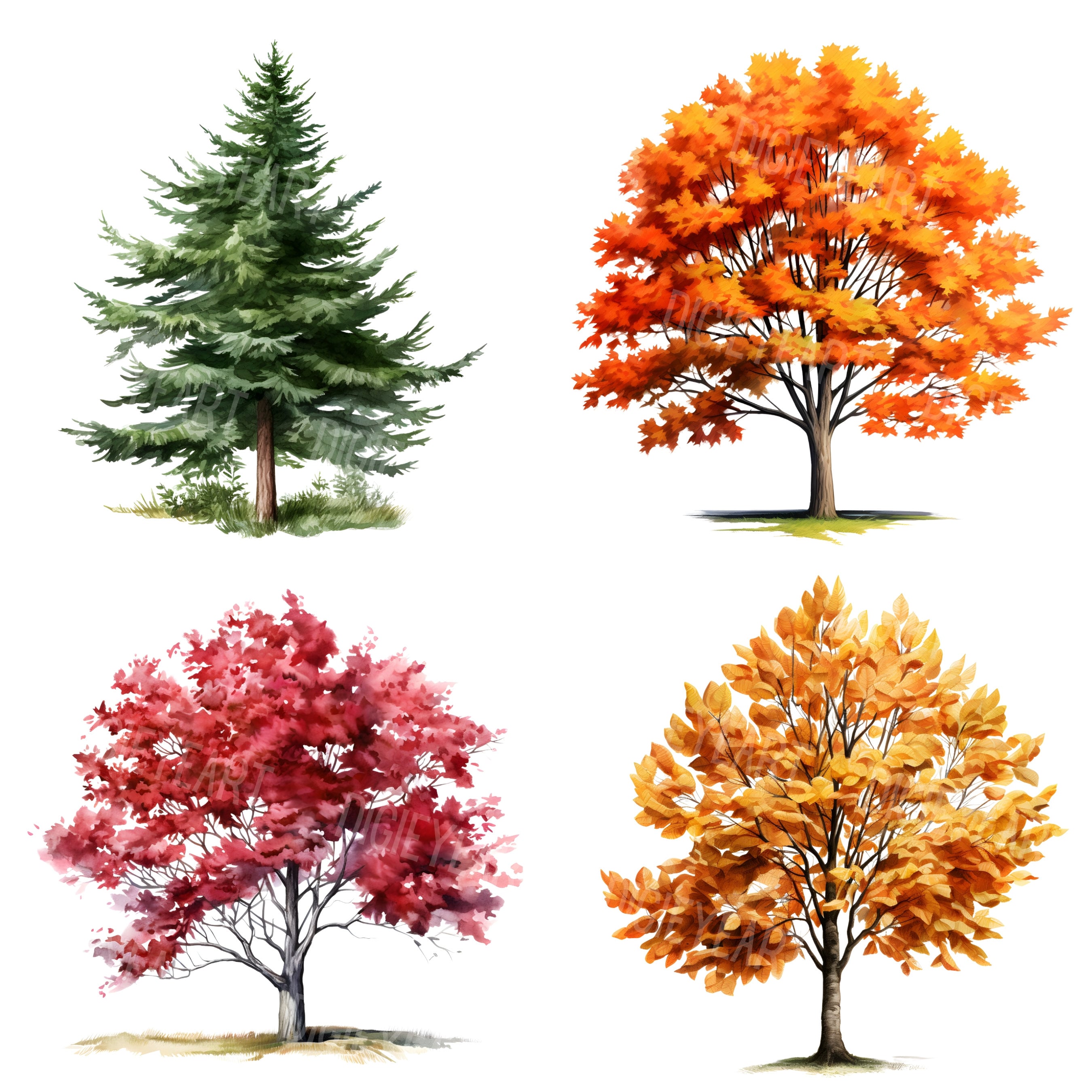 Autumn Trees Clipart Fall Tree Clip Art Png Forest Image - Etsy