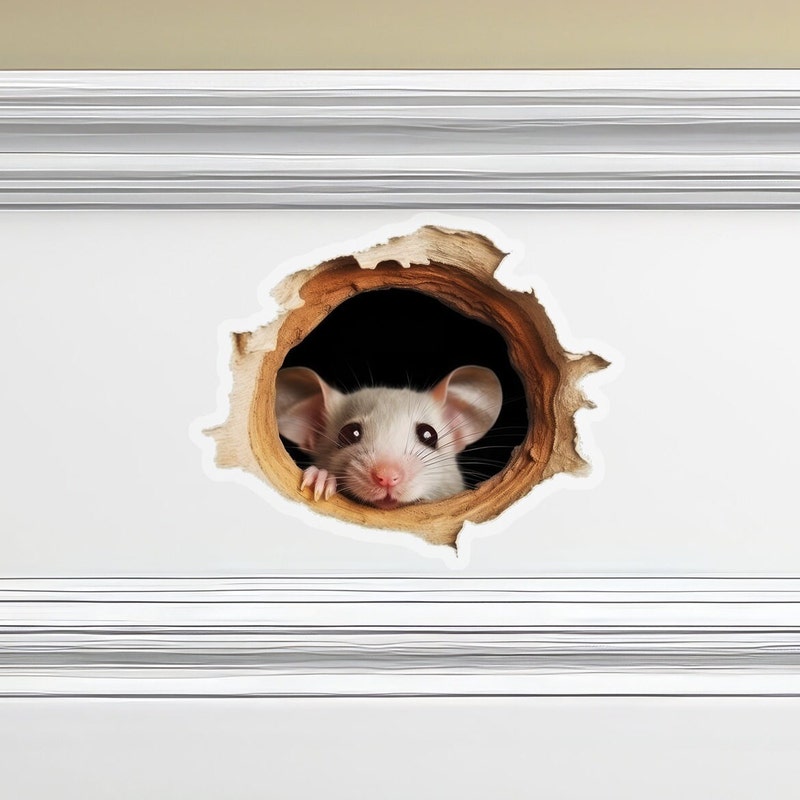 Mouse Hole - Etsy