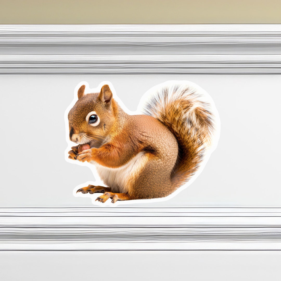 3D Squirrel Decal, Realistic Squirrel With Nut, Removable Kiss Cut ...