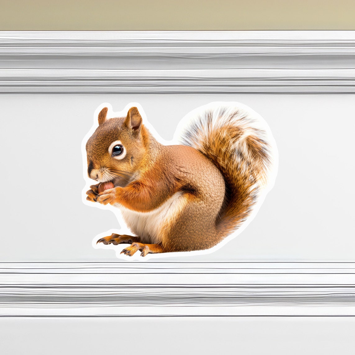 3D Squirrel Decal, Realistic Squirrel With Nut, Removable Kiss Cut ...