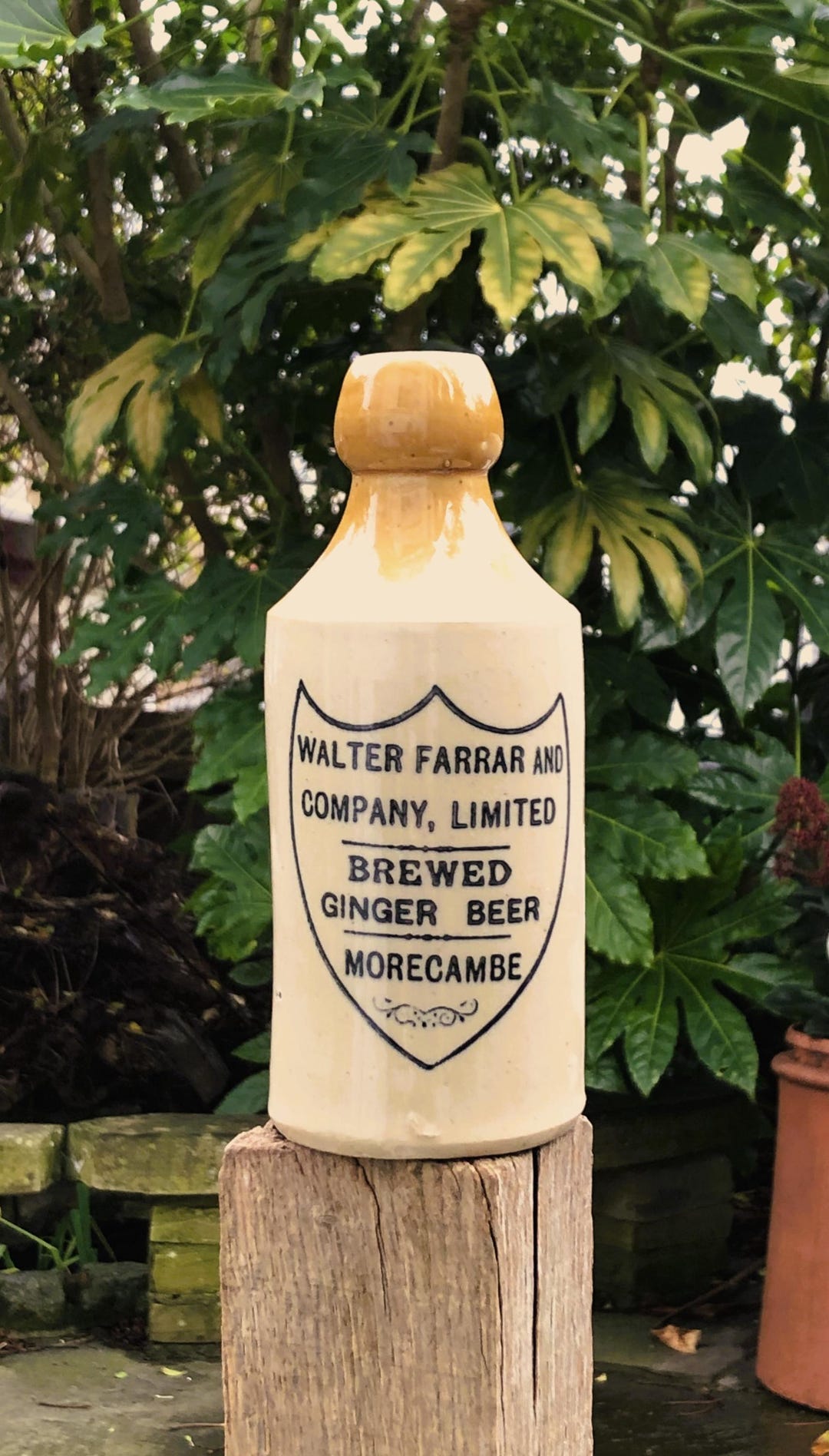Antique Stoneware Ginger Beer Bottle / Walter Farrar and Company ...