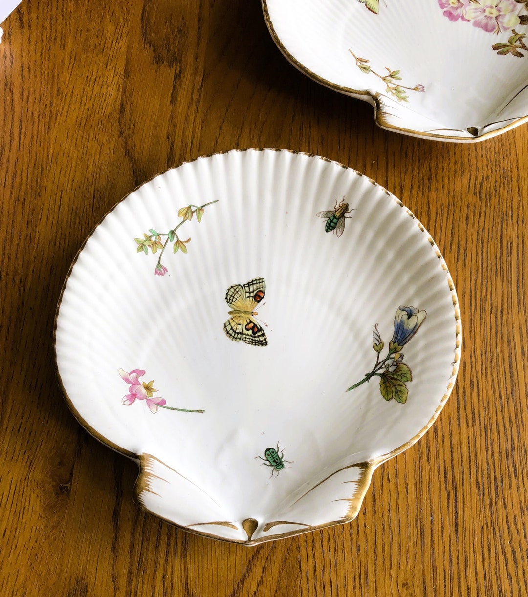 Antique 19th Century Wedgwood Shell Plate With Insects, Butterfly and ...