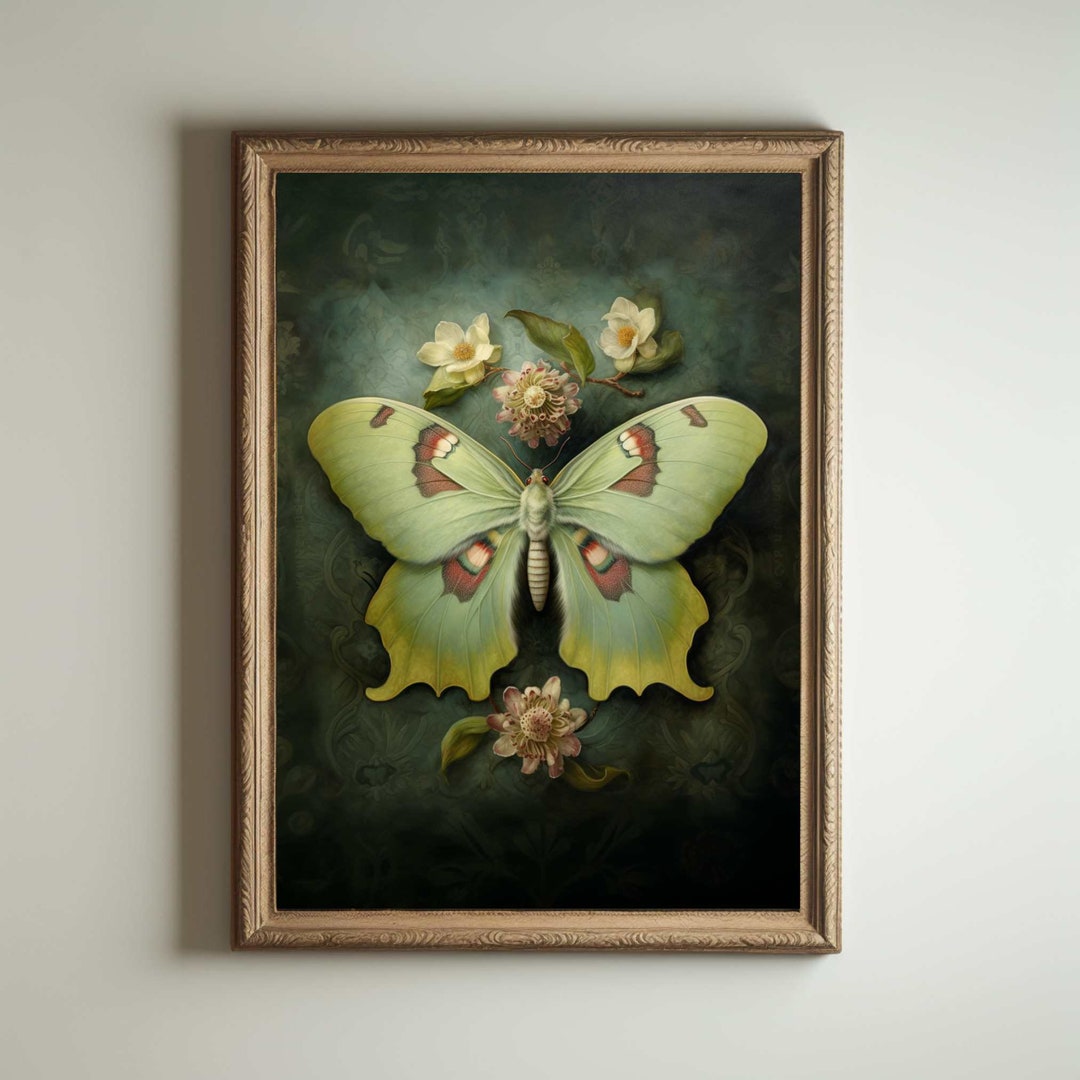 Stampa artistica di falena luna - Etsy Italia