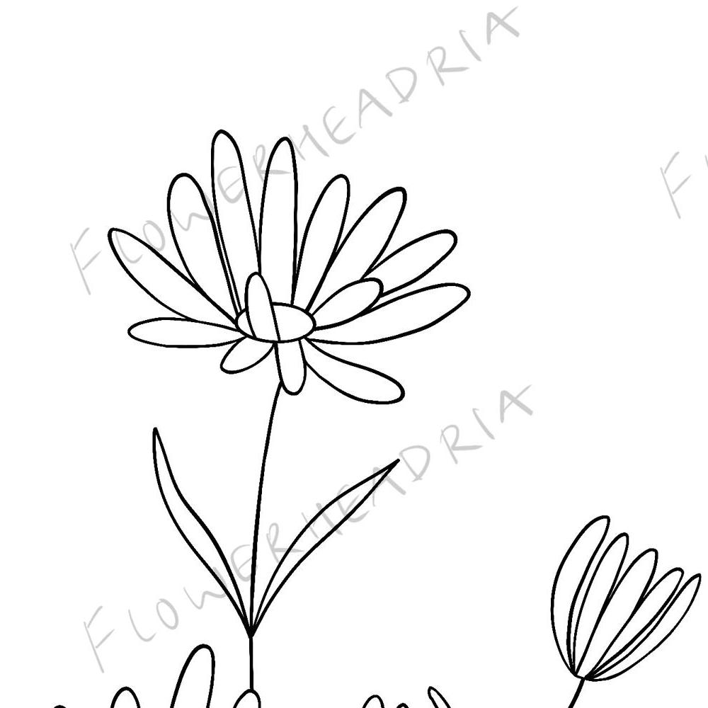 Digital Daisy Flowers - Etsy