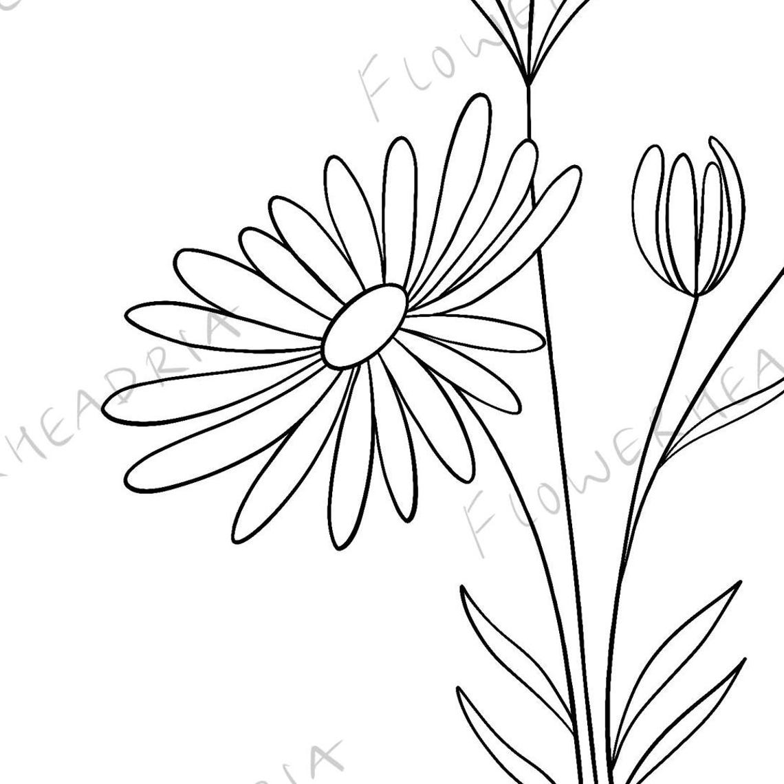 Digital Daisy Flowers - Etsy