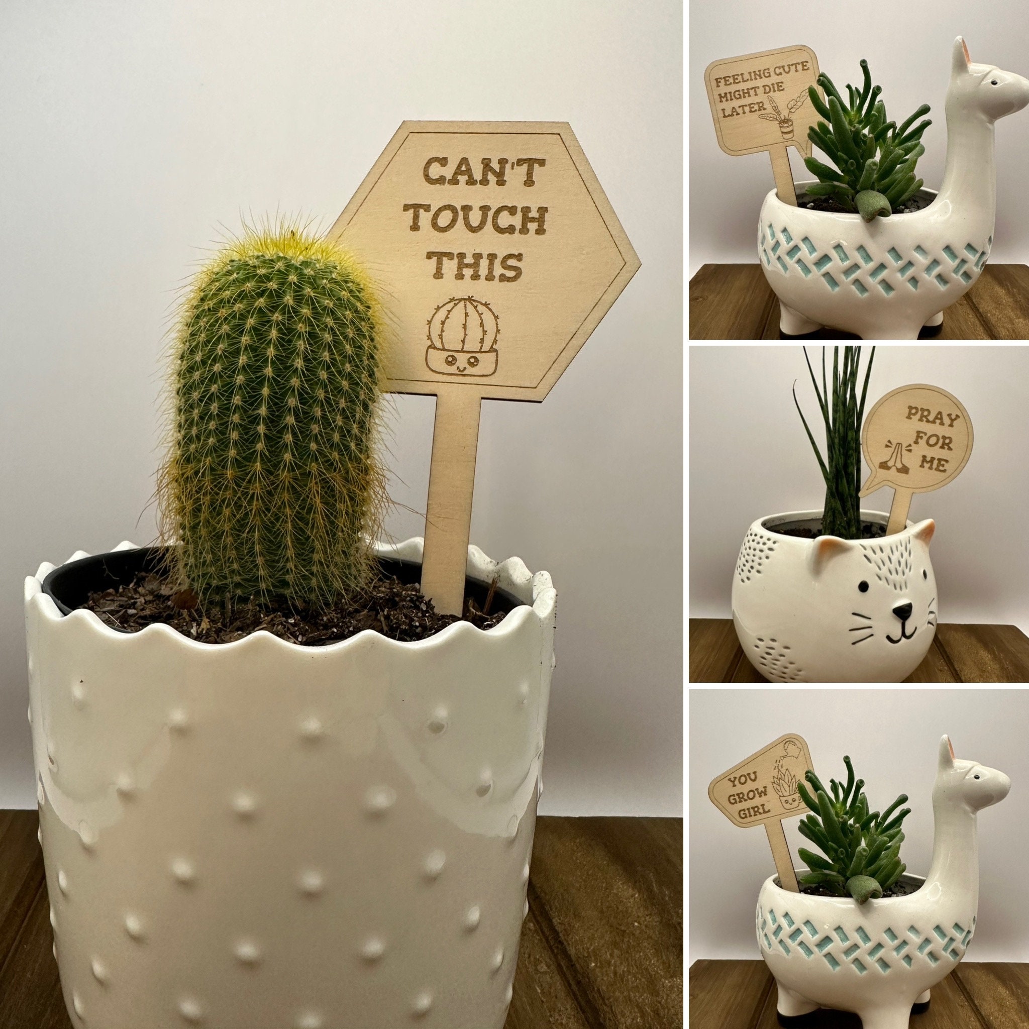 Funny Saying Plant Marker: Engraved Basswood, Indoor Use - Etsy Canada