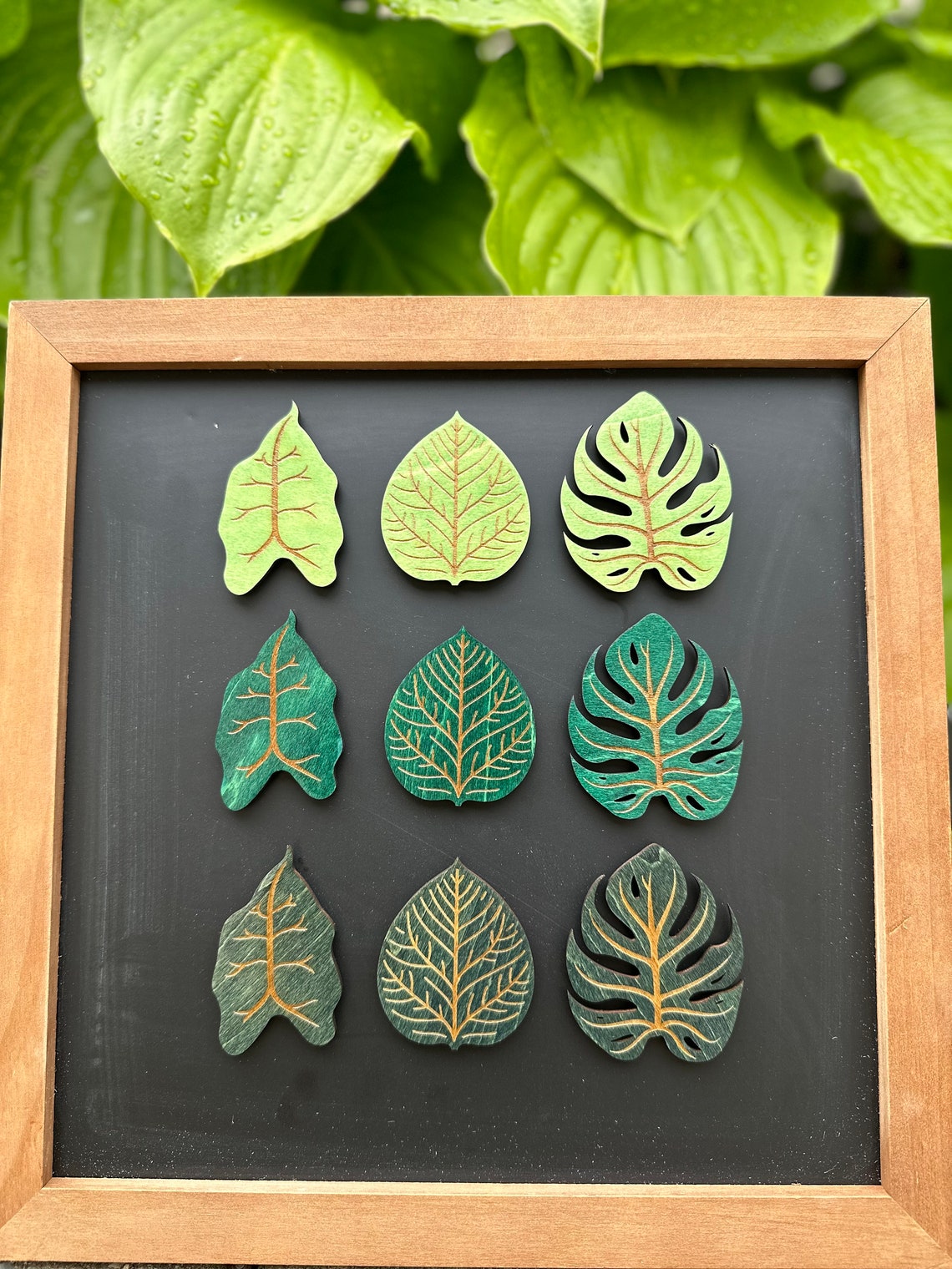 Tropical Leaf Magnet Set: Laser Cut Wood Plant Decor - Etsy Canada