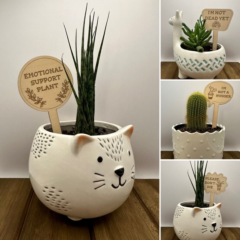 Funny Saying Plant Marker: Engraved Basswood, Indoor Use - Etsy Canada