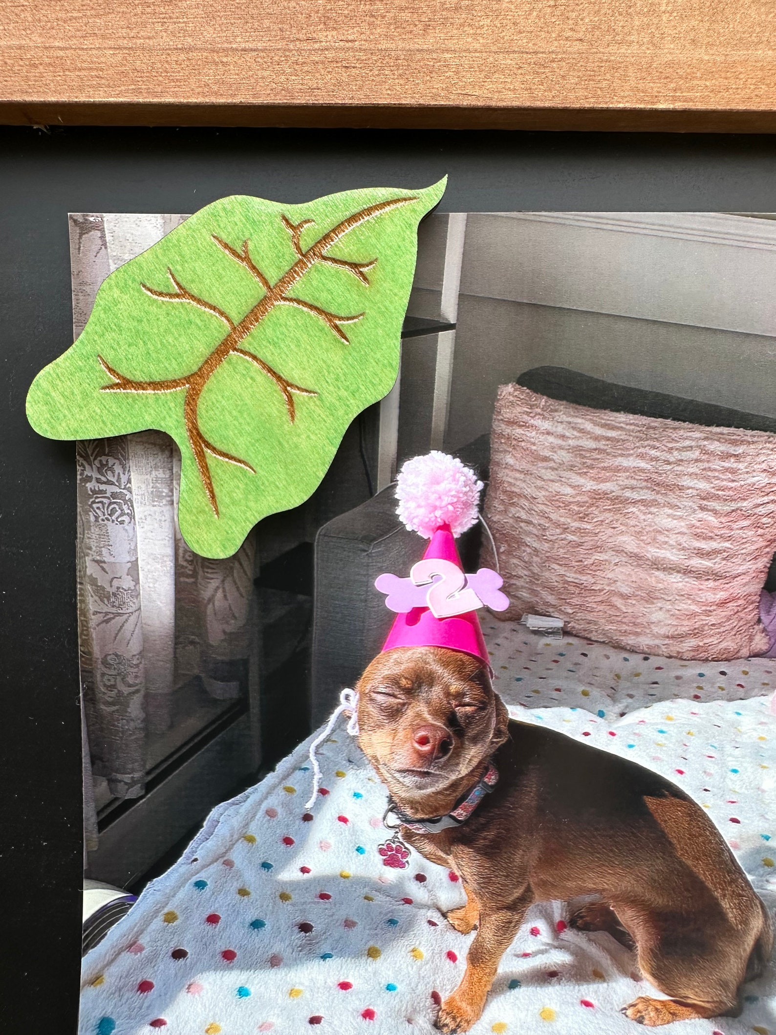 Tropical Leaf Magnet Set: Laser Cut Wood Plant Decor - Etsy Canada