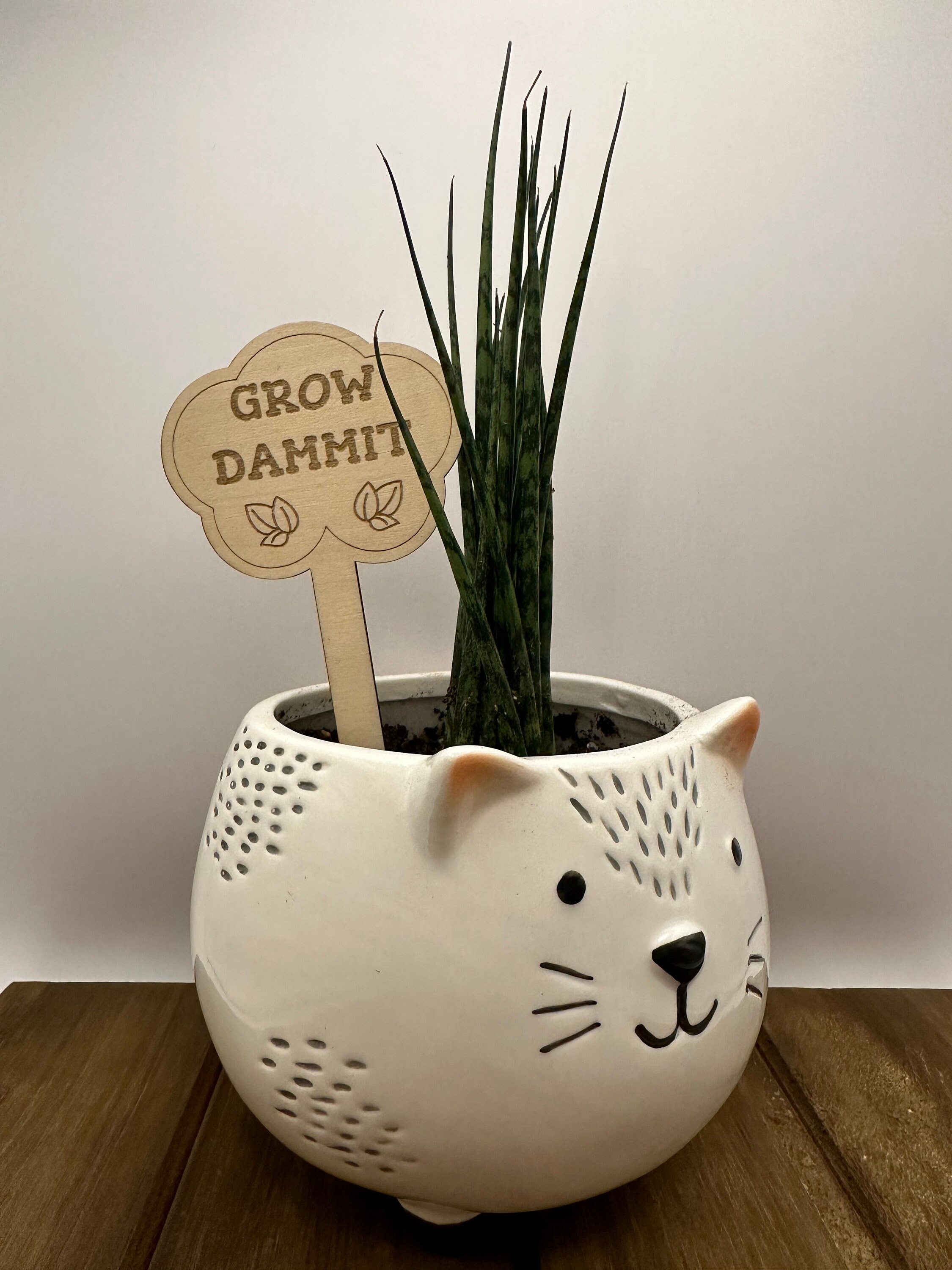 Funny Saying Plant Marker: Engraved Basswood, Indoor Use - Etsy Canada