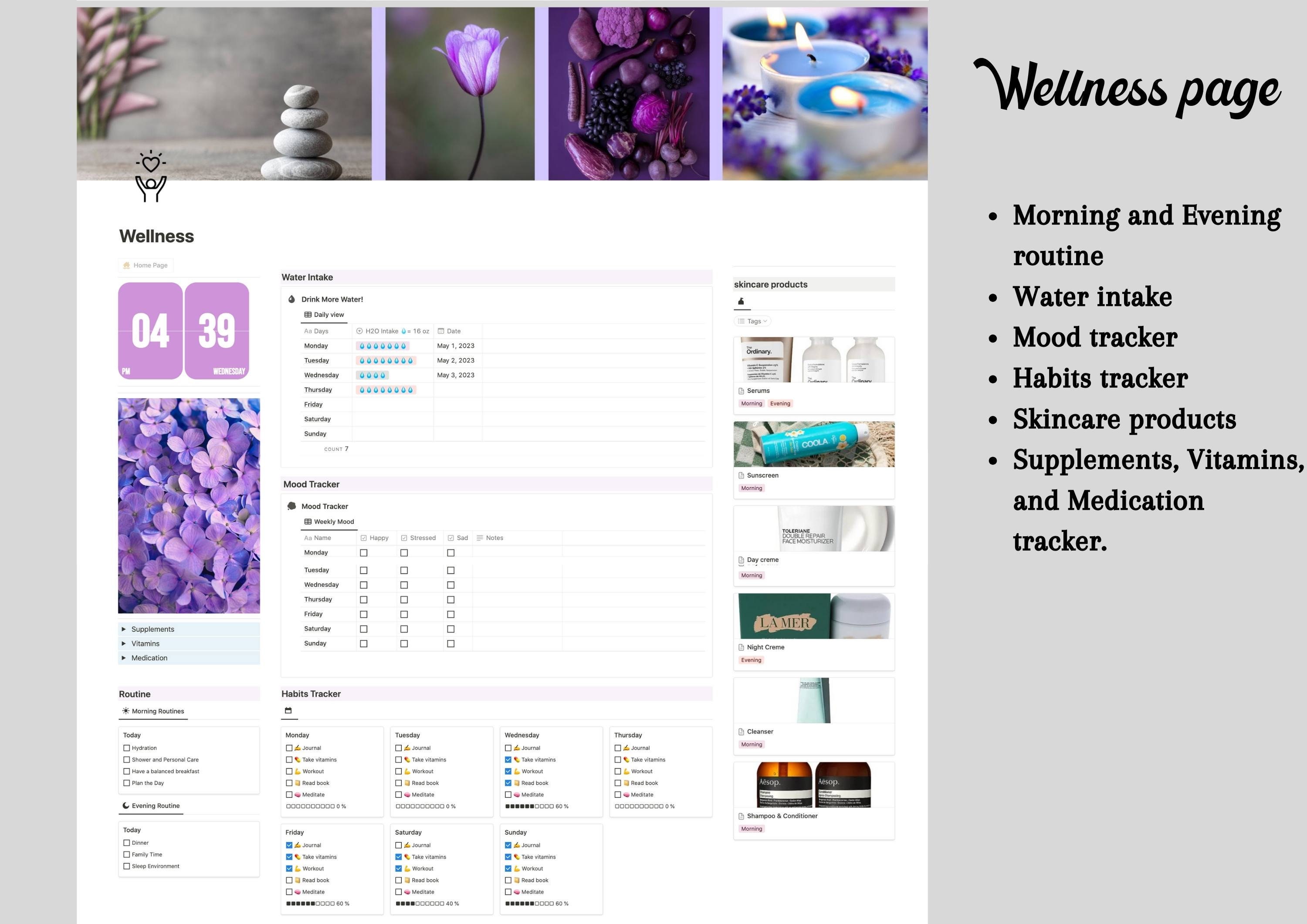 Notion Template Fitness,fitness Plan, Notion Dashboard,fitness Tracker ...