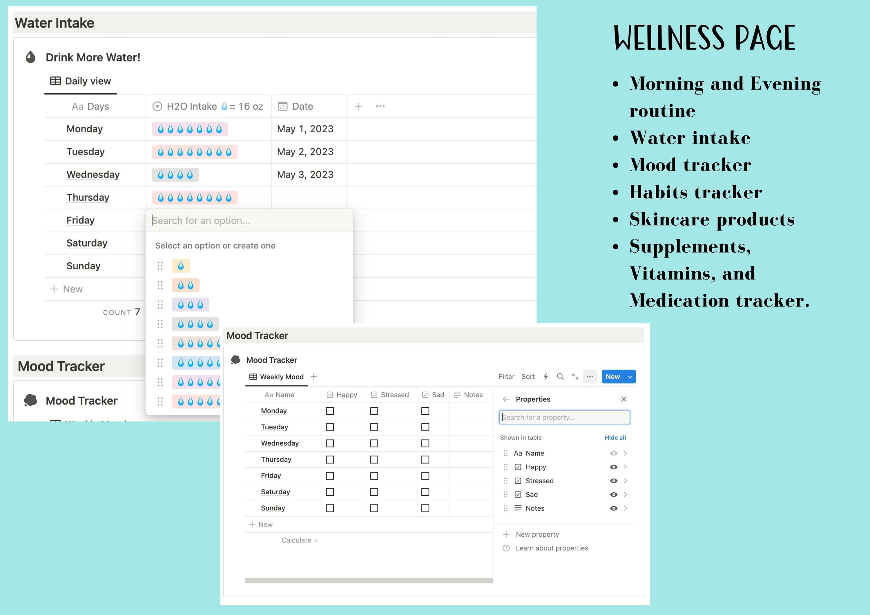 Notion Template, Fitness Tracker, Fitness Planner, Digital Fitness ...