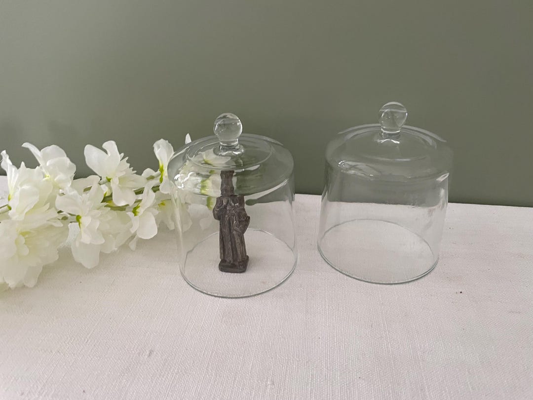 Vintage French Tall Shaped Glass Cloche, Decorative Vintage Glass Dome ...